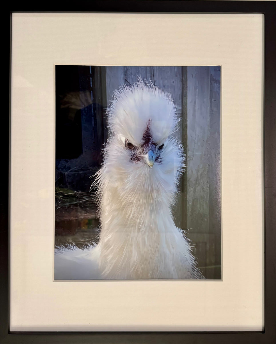Miss Muppet, Scotch Hill Farm (unframed) – Landscapes for Landsake Art ...